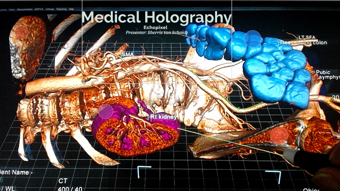 Activity 3 - Holography - Echopixel by Sherrie VanSchaick on Prezi