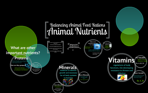 Meeting Nutritional Needs of Animals by Emily Bogner on Prezi