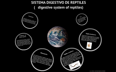 SISTEMA DIGESTIVO DE REPTILES by on Prezi