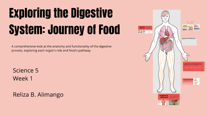 Exploring the Digestive System: Journey of Food by Reliza Alimango on Prezi