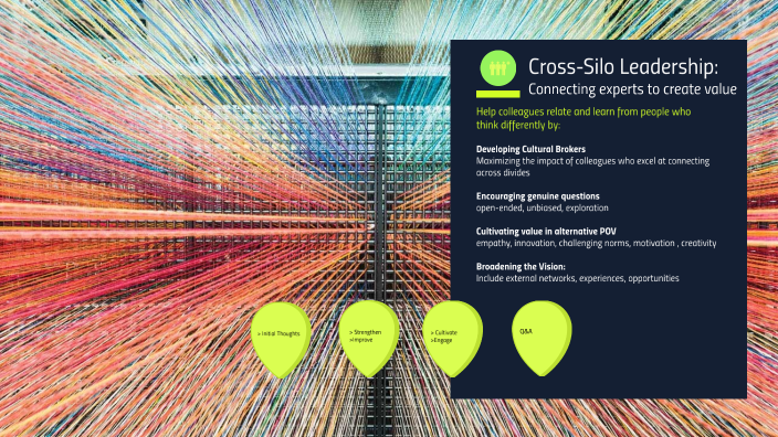 Cross-Silo Leadership: Connecting Experts To Create Value by Amber ...