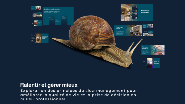 Ralentir et gérer mieux by Renee Ursula Gerard on Prezi