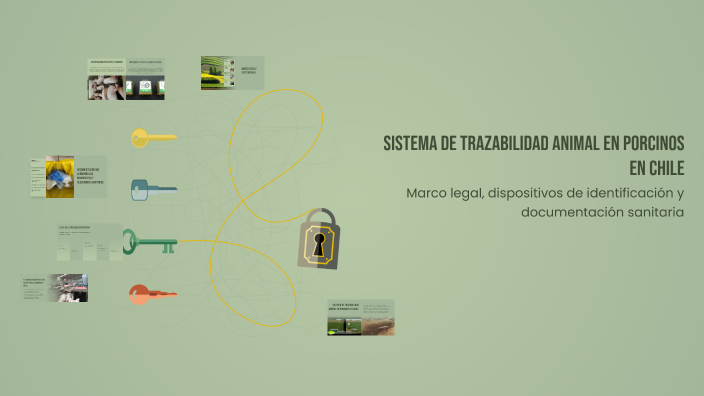 Sistema de Trazabilidad Animal en Porcinos en Chile by Alison Hidalgo ...