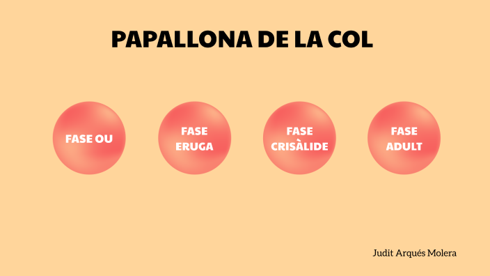 Papallona de la col by Judit Arqués Molera on Prezi