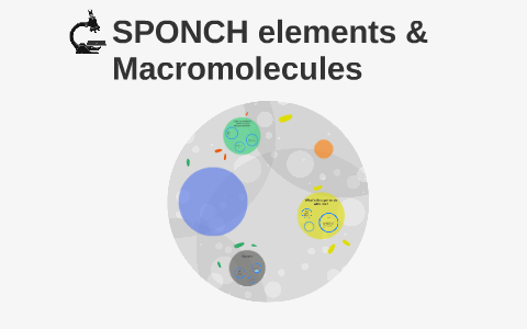SPONCH elements & by shelby thornton on Prezi