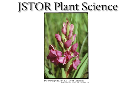 JSTOR Plant Science by deirdre ryan on Prezi