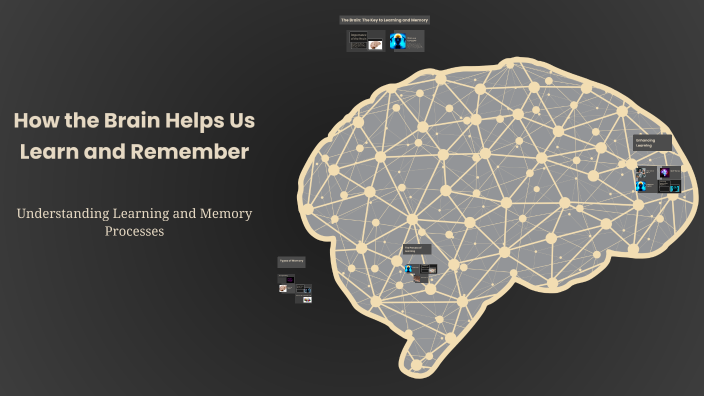 How the Brain Helps Us Learn and Remember by Abdulrahman Mohamed on Prezi