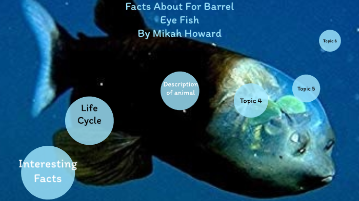 The Pacific Barreleye Fish by Mikah Howard on Prezi