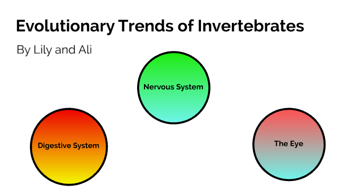 evolutionary trends of invertebrates by Lily Hurst on Prezi