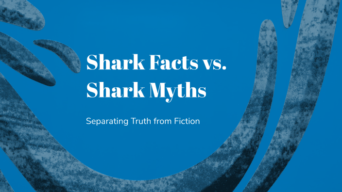 Shark Facts vs. Shark Myths by Madilynn Penn on Prezi