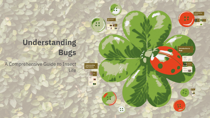 Understanding Bugs by Darek Wielki on Prezi