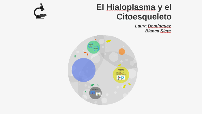 El Hialoplasma y el Citoesqueleto by Blanca Sicre López on Prezi
