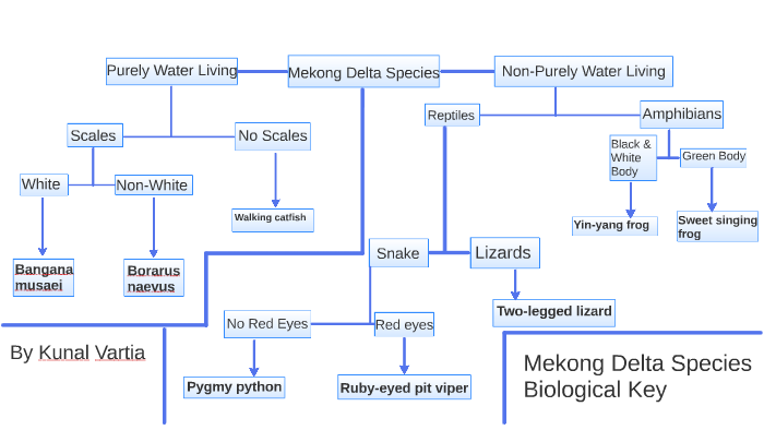 Mekong Delta Species by kunal vartia on Prezi