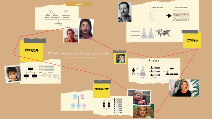 DNA Kinship Analysis by Eline Mary on Prezi