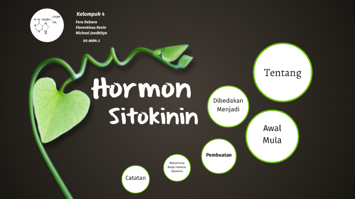 Hormon Sitokinin by Kazuki Shiranui on Prezi