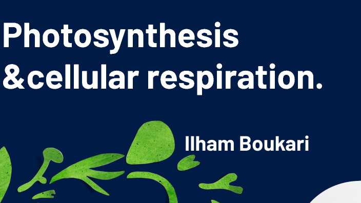 Photosynthesis and cellular respiration-Ilham Boukari by Ilham Boukari ...