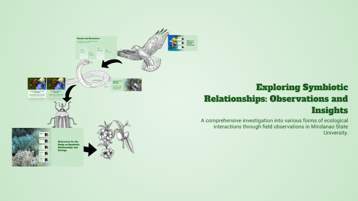 Exploring Symbiotic Relationships: Observations and Insights by Jan Rey ...