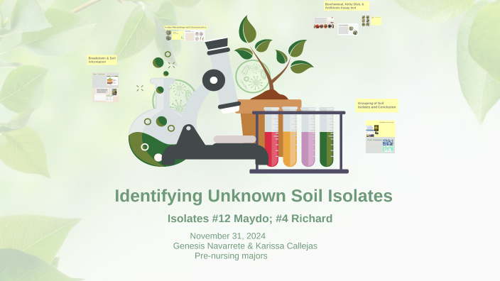 Identifying Unknown Soil Isolate by GEN NAVARRETE on Prezi