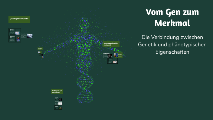 Vom Gen zum Merkmal by M. Sarli on Prezi