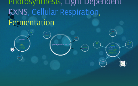 Photosynthesis, Light Dependent RXNS, Cellular Respiration, by melissa ...
