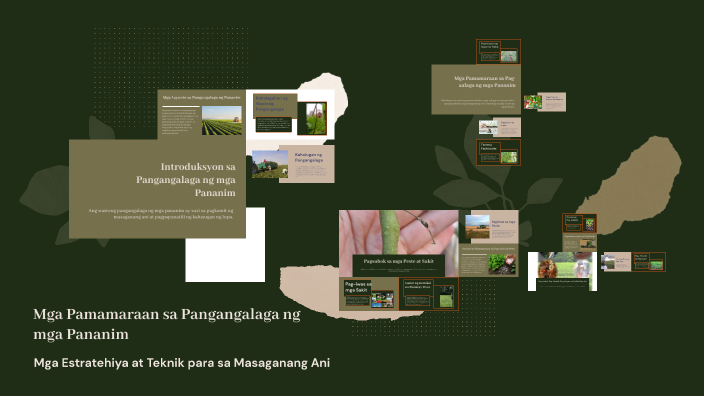 Mga Pamamaraan sa Pangangalaga ng mga Pananim by charmaine faye alcos on Prezi