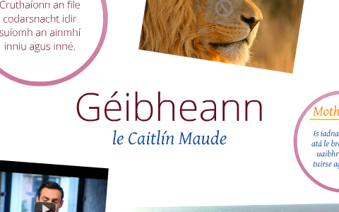 Géibheann by R. Darnell on Prezi