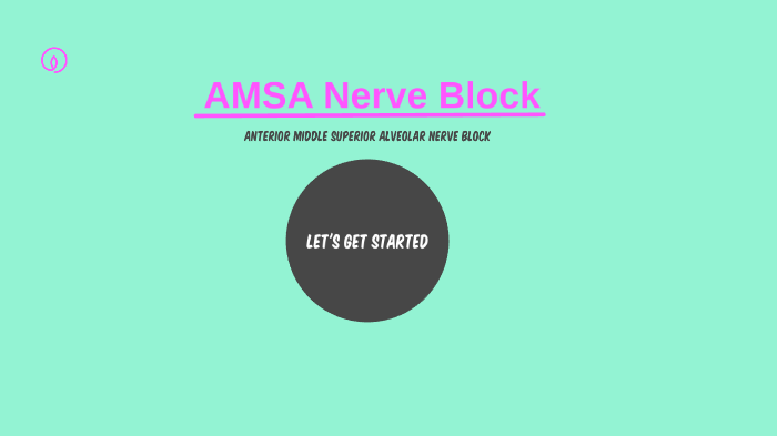 AMSA Nerve Block by Courtney Arnett on Prezi