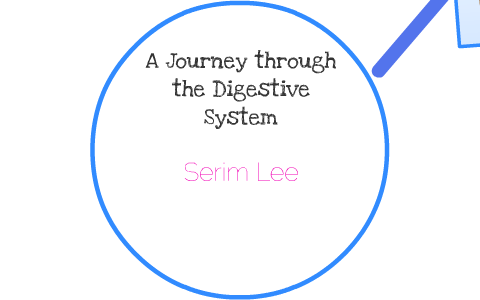 A Journey through the Digestive System by on Prezi