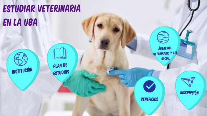 ESTUDIAR VETERINARIA EN LA UBA by Yamila Bajeneta on Prezi