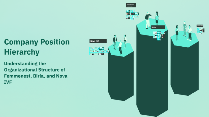 Company Position Hierarchy by Neha Adhikari on Prezi