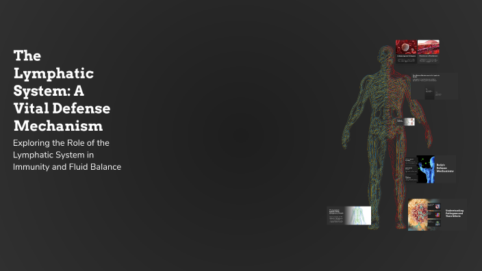The Lymphatic System: A Vital Defense Mechanism by Rhyeman Gabriel ...