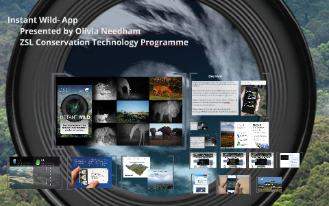 Instant Wild by Olivia Needham