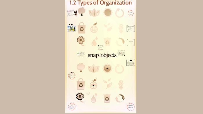 1.2 Types of Organization by Hal Ott on Prezi