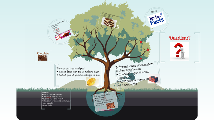 Engels presentatie Chocolade by norbert dudek on Prezi