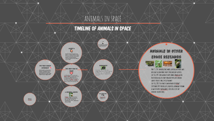 Timeline of animals in space by Gabriella Gio on Prezi