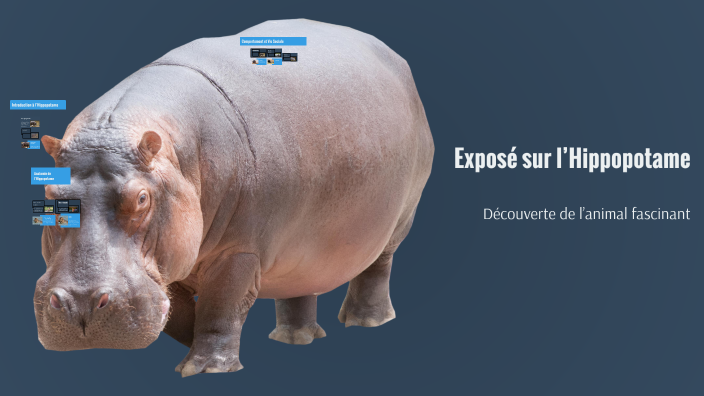 Exposé sur l’Hippopotame by Reda HM on Prezi