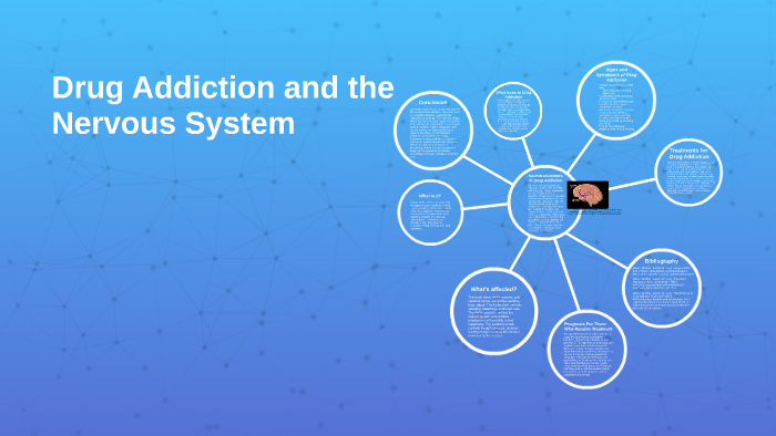 Drug Addiction and the Nervous System by Christopher Lyders on Prezi