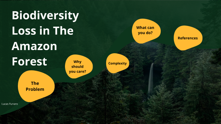 Biodiversity Loss in the Amazon Forest by Lucas Funaro on Prezi