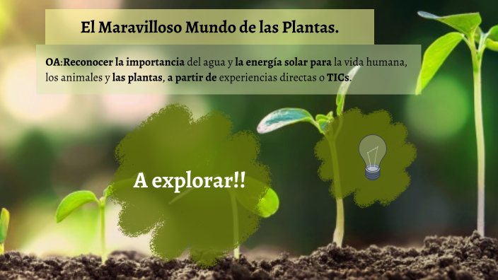 El Maravilloso Mundo de las Plantas. by Vanessa Navarrete Reyes on Prezi