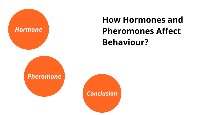 How Hormones and Pheromones Affect Behaviour? by Kelly Kuan on Prezi