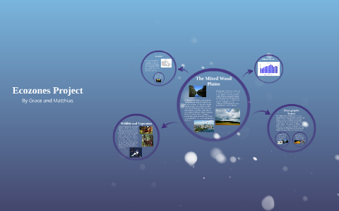 The Mixed Wood Plains by on Prezi