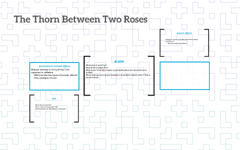 The Thorn Between Two Roses by Kristin Layman on Prezi