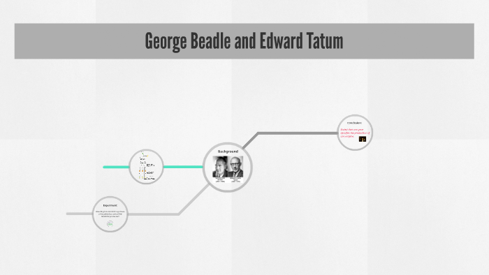 George Beadle and Edward Tatum by Valeria Sabo on Prezi