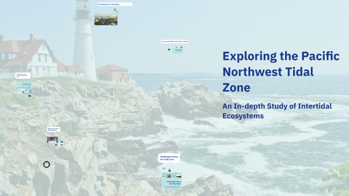 Exploring the Pacific Northwest Tidal Zone by nick lieffers on Prezi