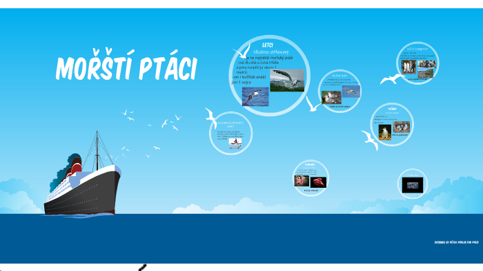 Mořští ptáci by Patrick Brydon on Prezi
