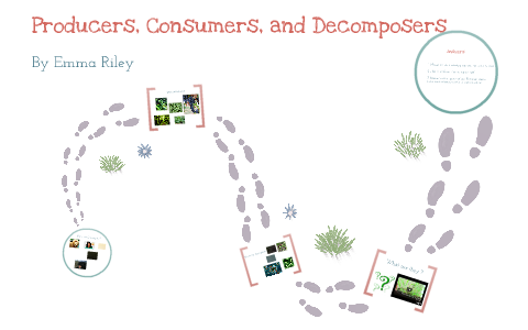 Producers, consumers, and Decomposers by Emma Riley on Prezi