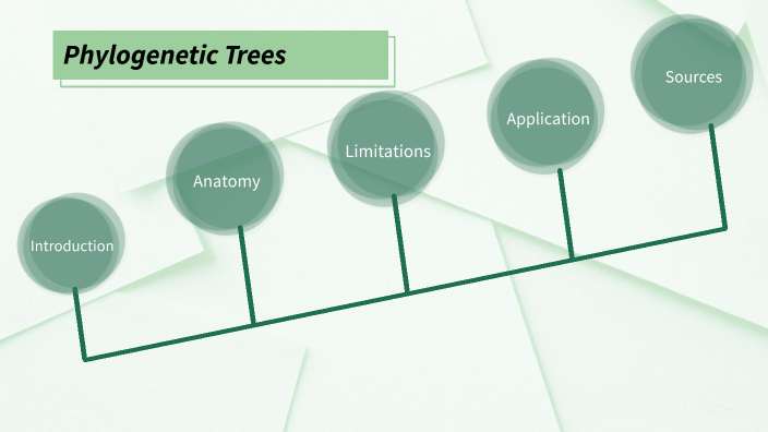 Phylogenic trees by Django Crowe on Prezi