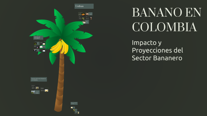 BANANO EN COLOMBIA by Johan Ramirez on Prezi