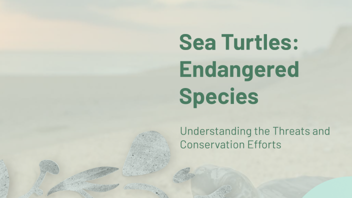 Sea Turtles: Endangered Species by yareli torres on Prezi