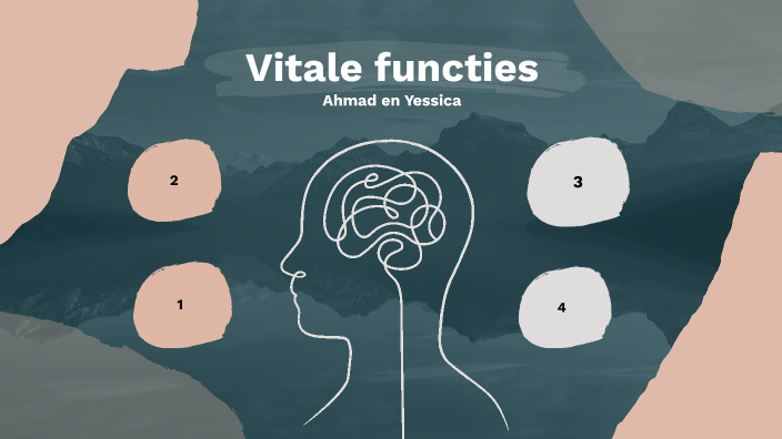Workshop Vitale Functies by yessica pol on Prezi